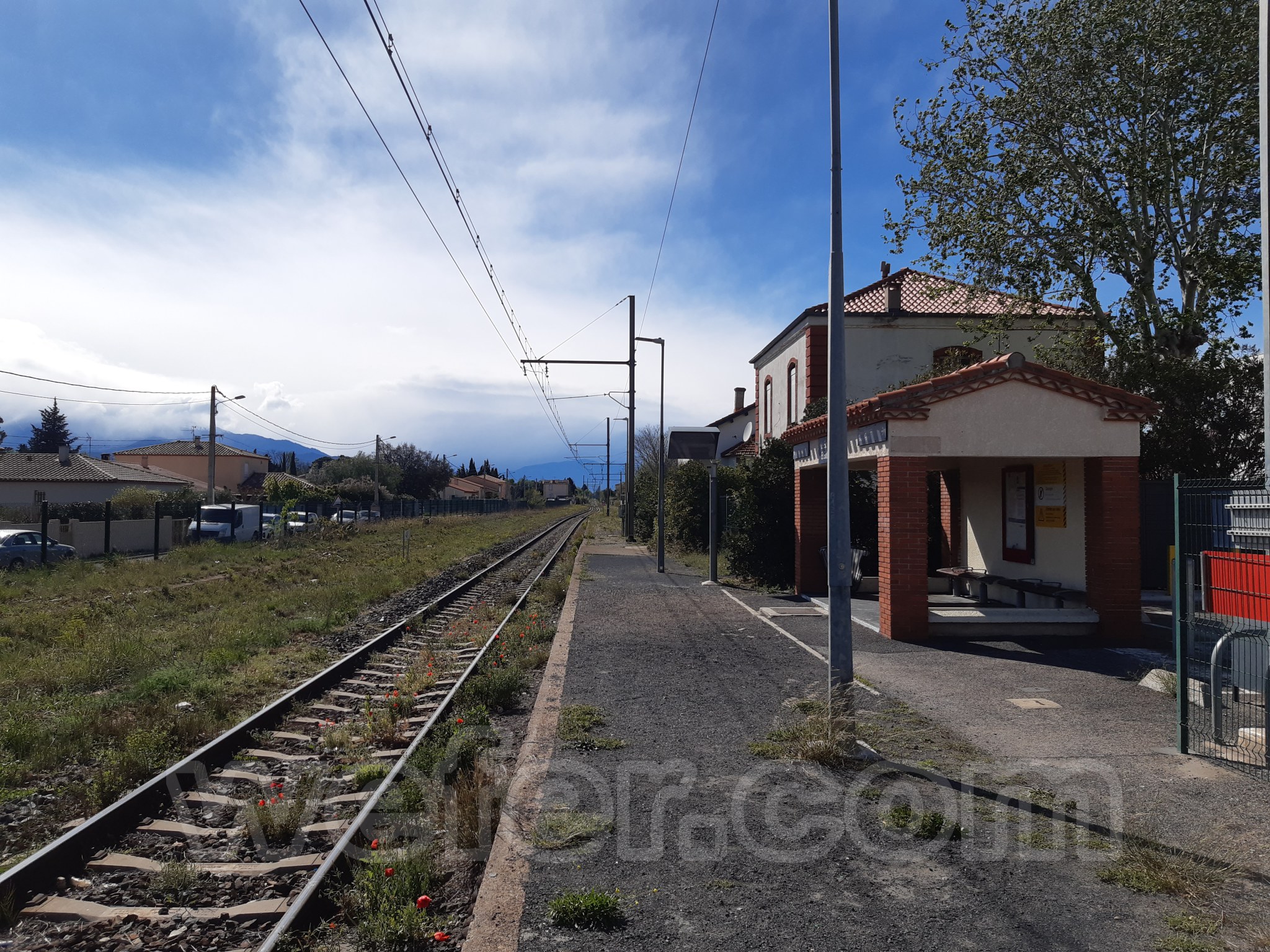 SNCF: estació d'El Soler (Le Soler) - wefer.com, Web Ferroviària